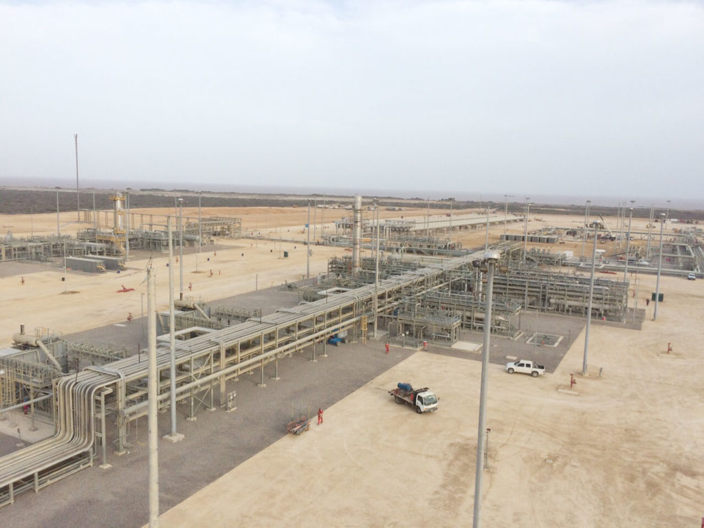 Project CardonIV - Lindsayca