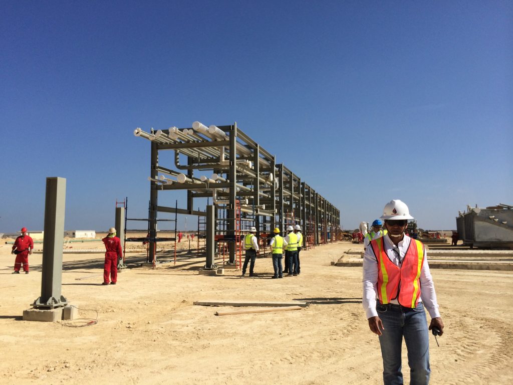 Project CardonIV - Lindsayca