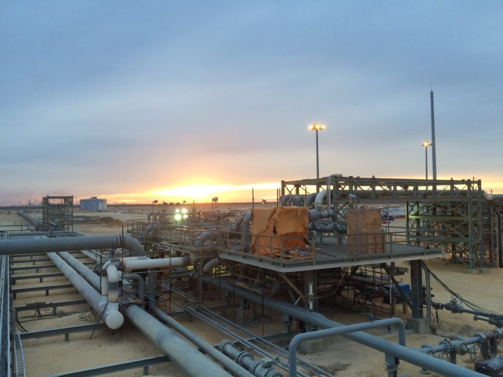 Project CardonIV - Lindsayca