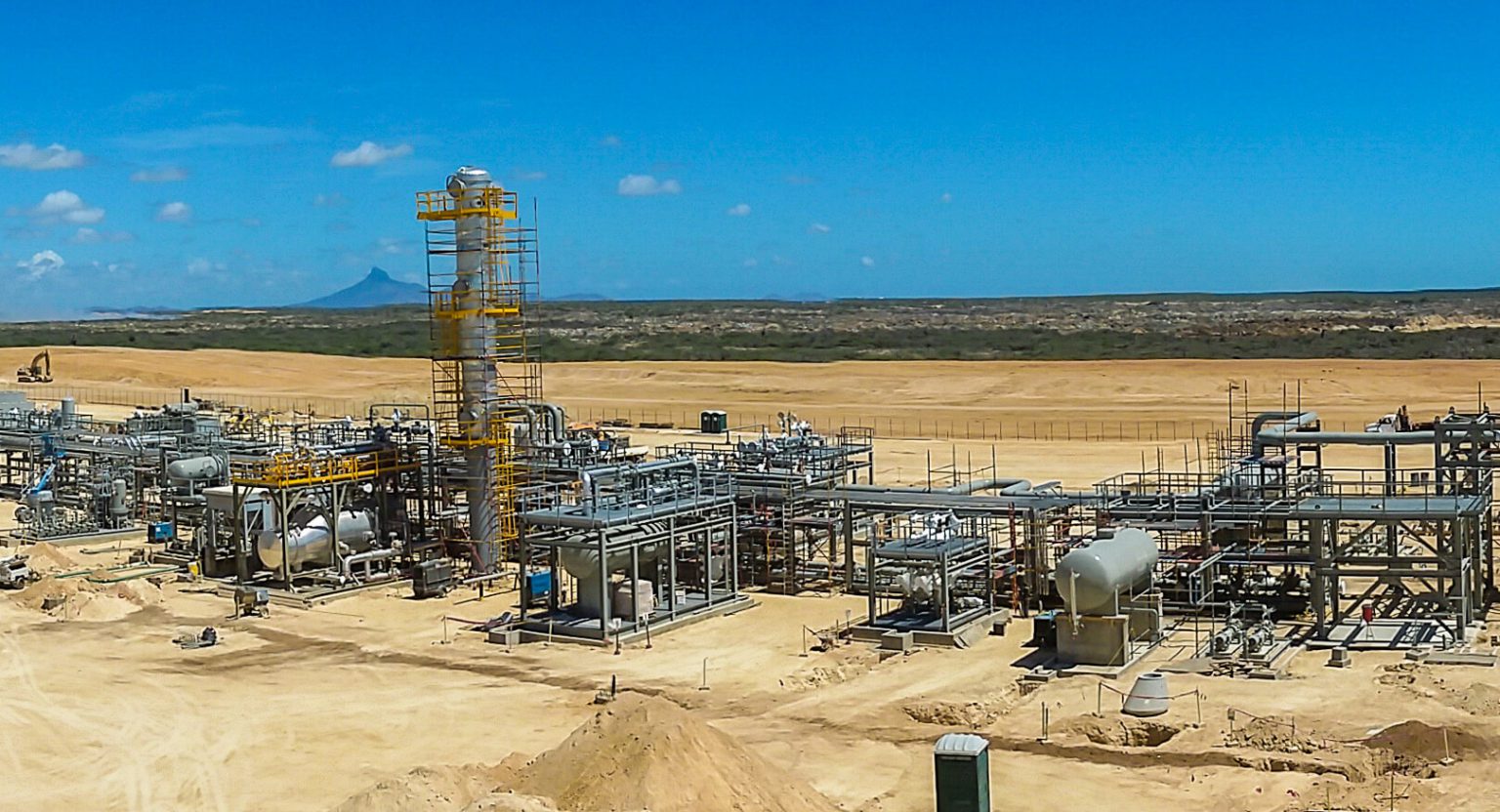 Project CardonIV - Lindsayca